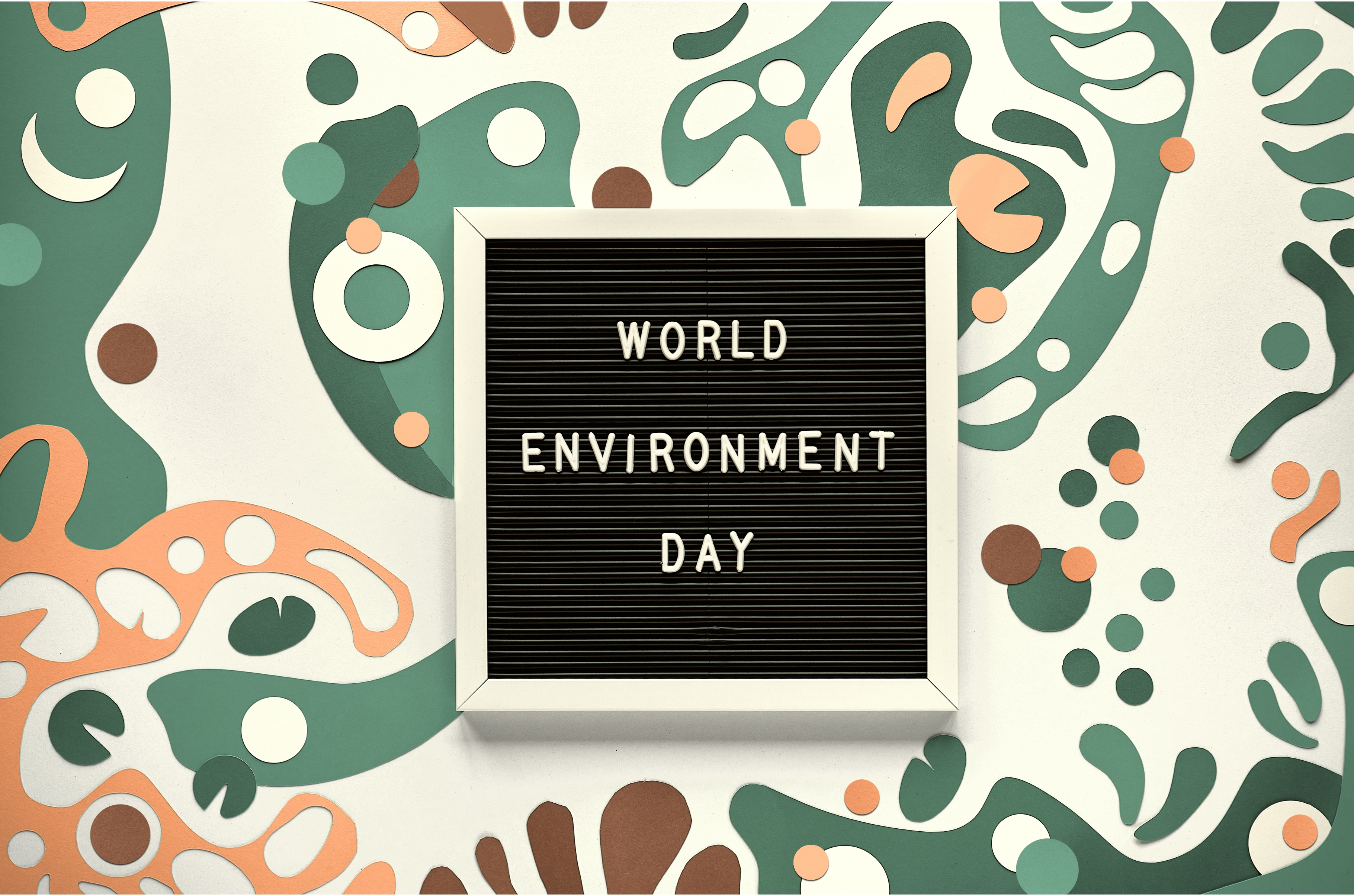 World Environment day. Abstract, a Holiday Photo by tilialucida