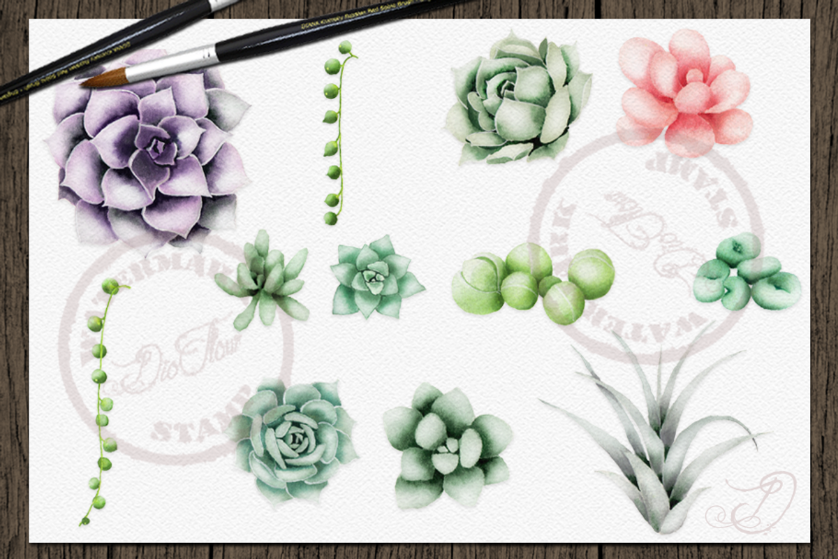 Succulent Watercolor Clipart, a Decorative Illustration by DioFlow ...