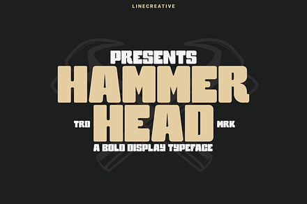 Landor Display Typeface, a Sans Serif Font by Projectile