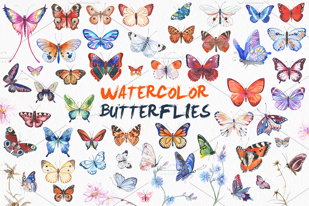 Watercolor Butterflies, an Animal Illustration by Maxim_Basinski