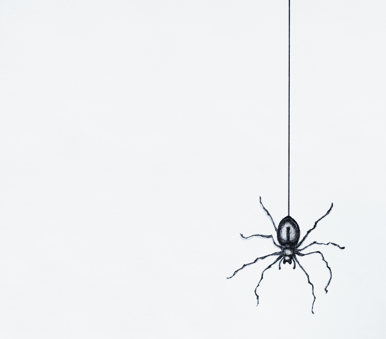 Sketch of a Black Spider, an Illustration by ValentinaPhotos