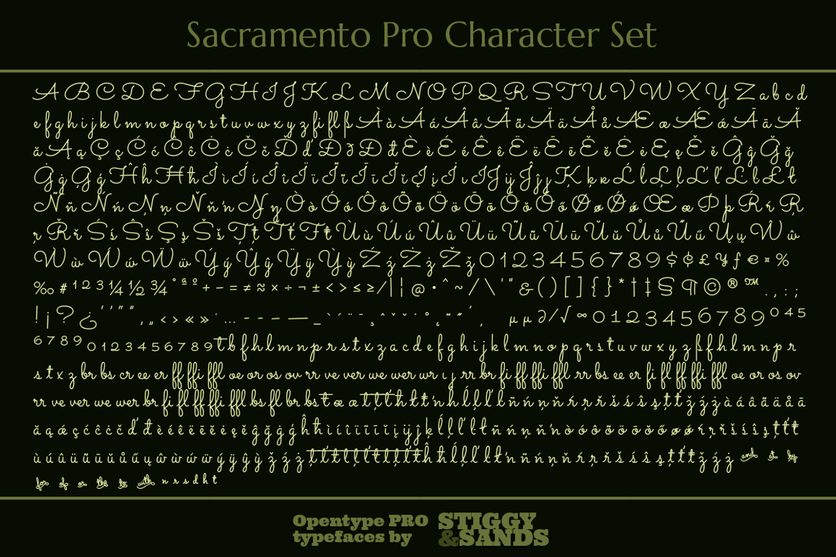 Sacramento Pro, a Script Font by Stiggy & Sands
