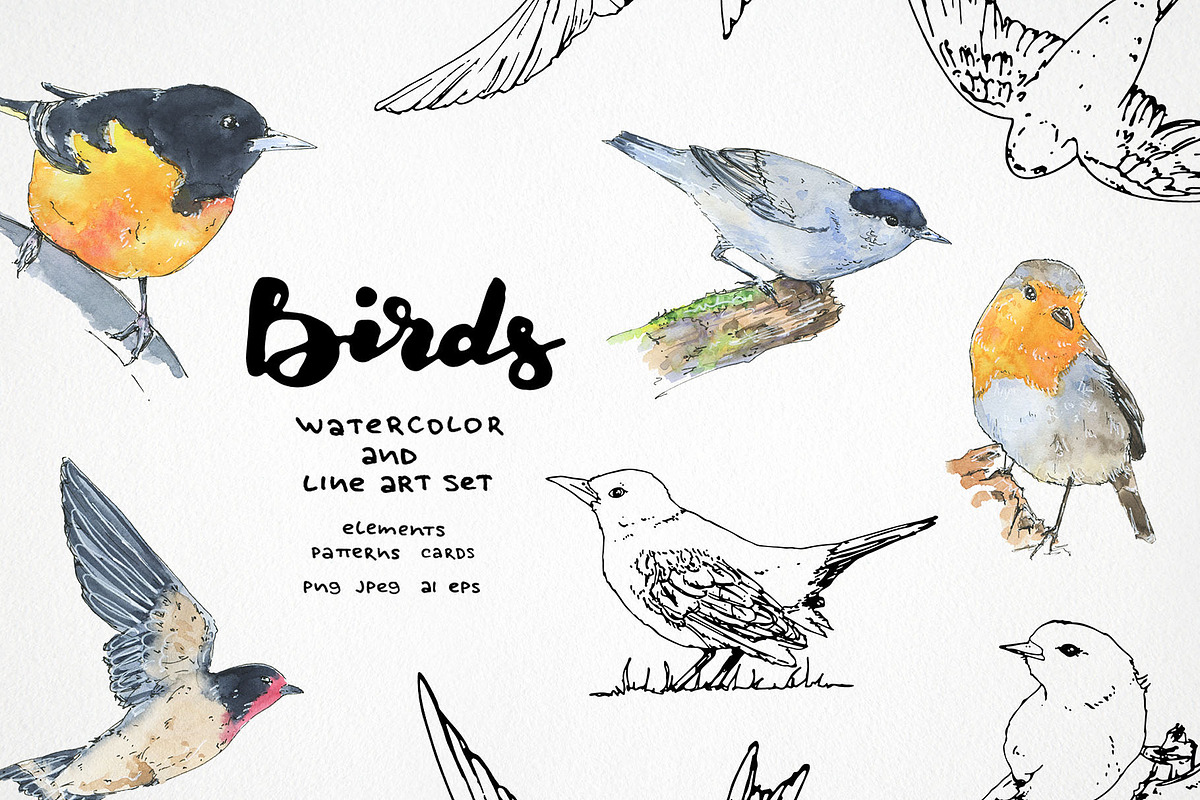 Watercolor flying bird clipart, an Animal Illustration by ...