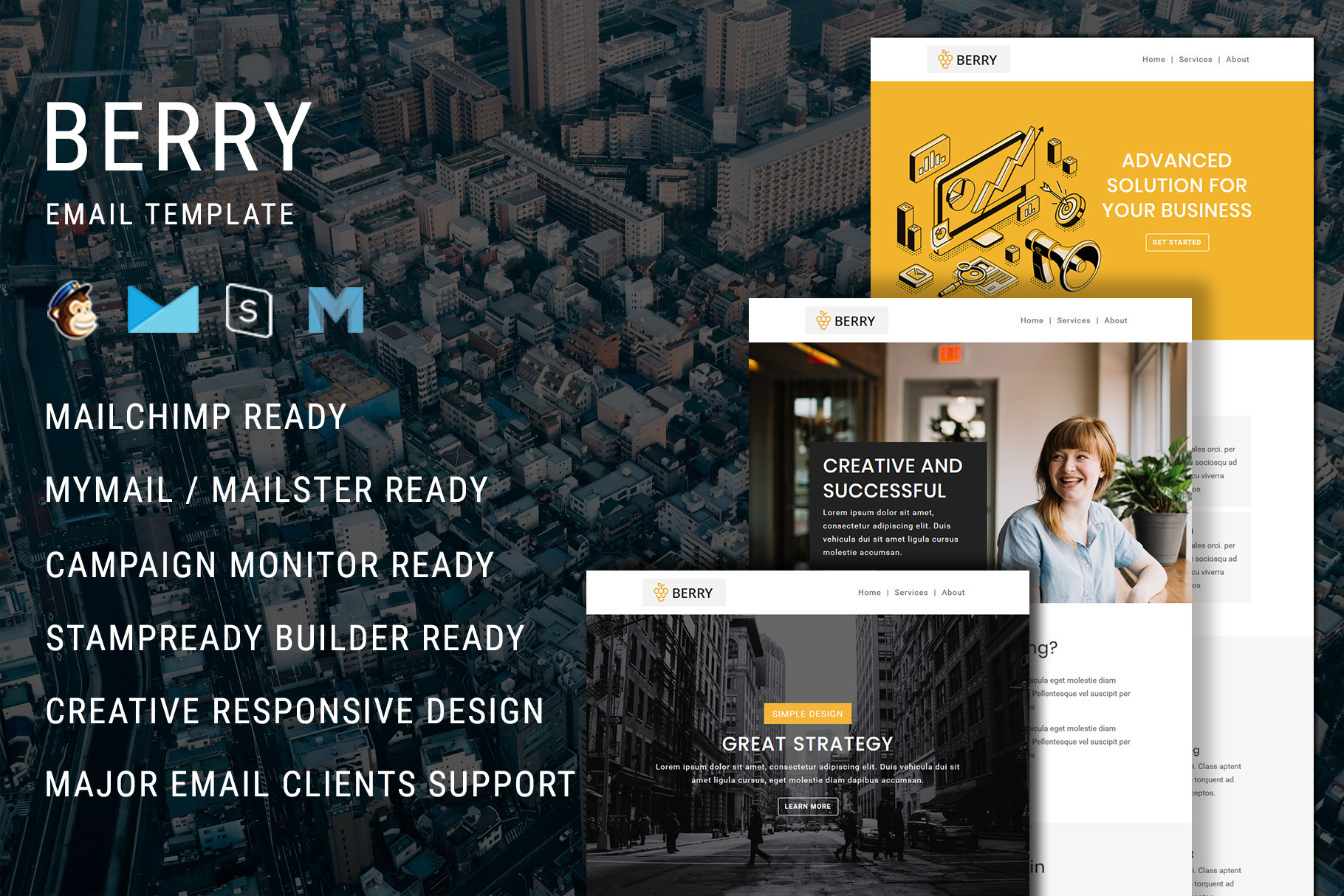 Berry - Responsive Email Template, an Email Template by FourDinos