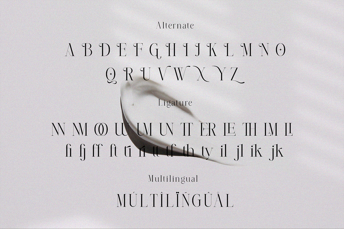 Almera Elegant Serif Font, a Serif Font by Idea Studio