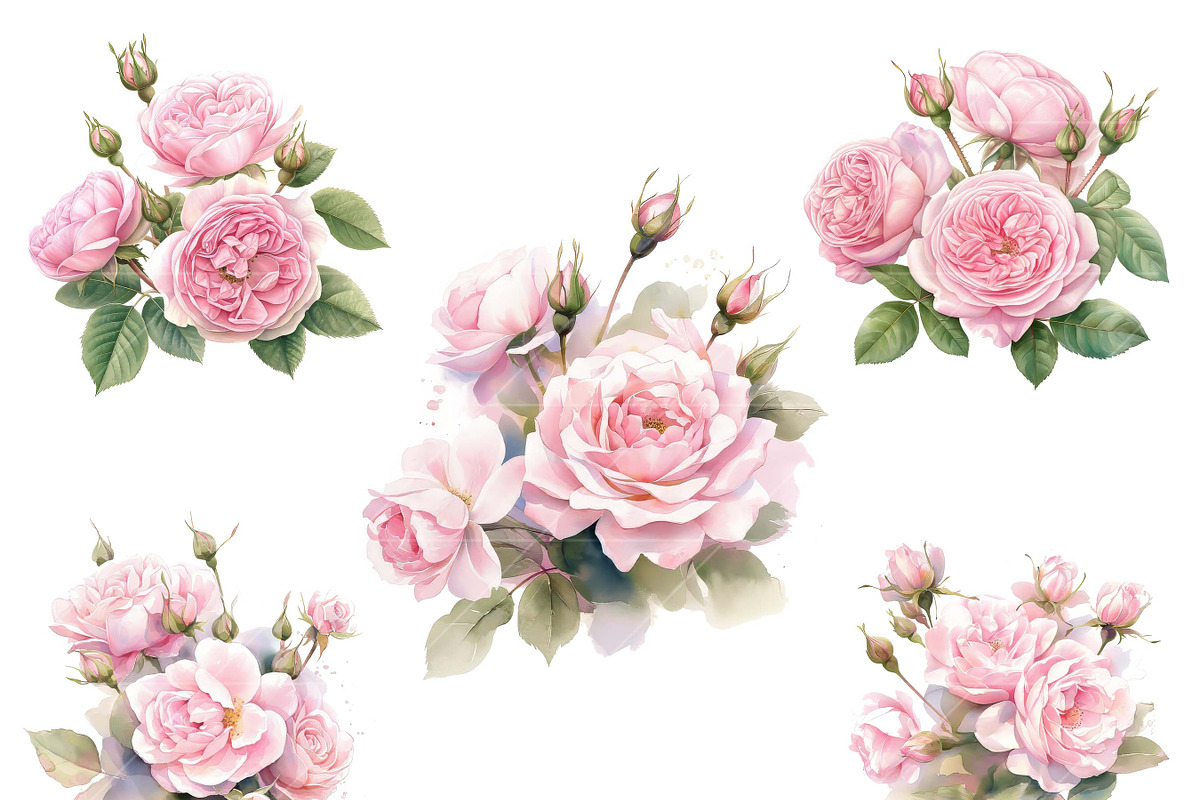 Watercolor Pink Roses Clipart Bundle, an Object Illustration by Design ...