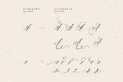 Nufertum, a Script Font by vuuuds