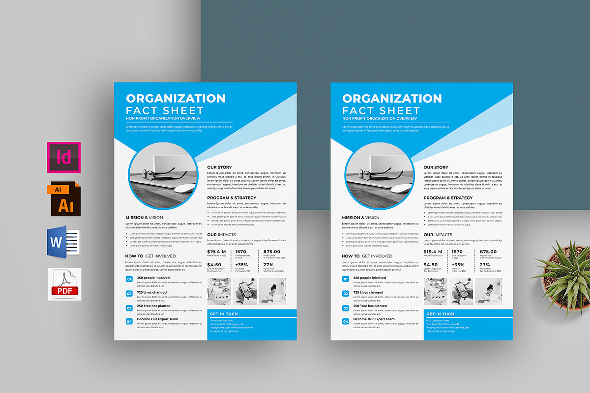 Nonprofit Organization Fact Sheet, a Flyer Template by obayes