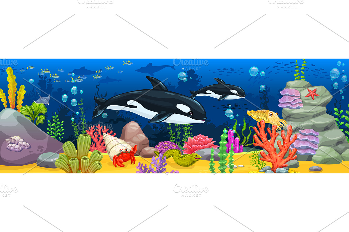 Cartoon killer whale animals, an Animal Illustration by Vector Tradition