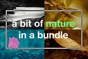 A Bit of Nature in a Bundle | Templates & Themes ~ Creative Market