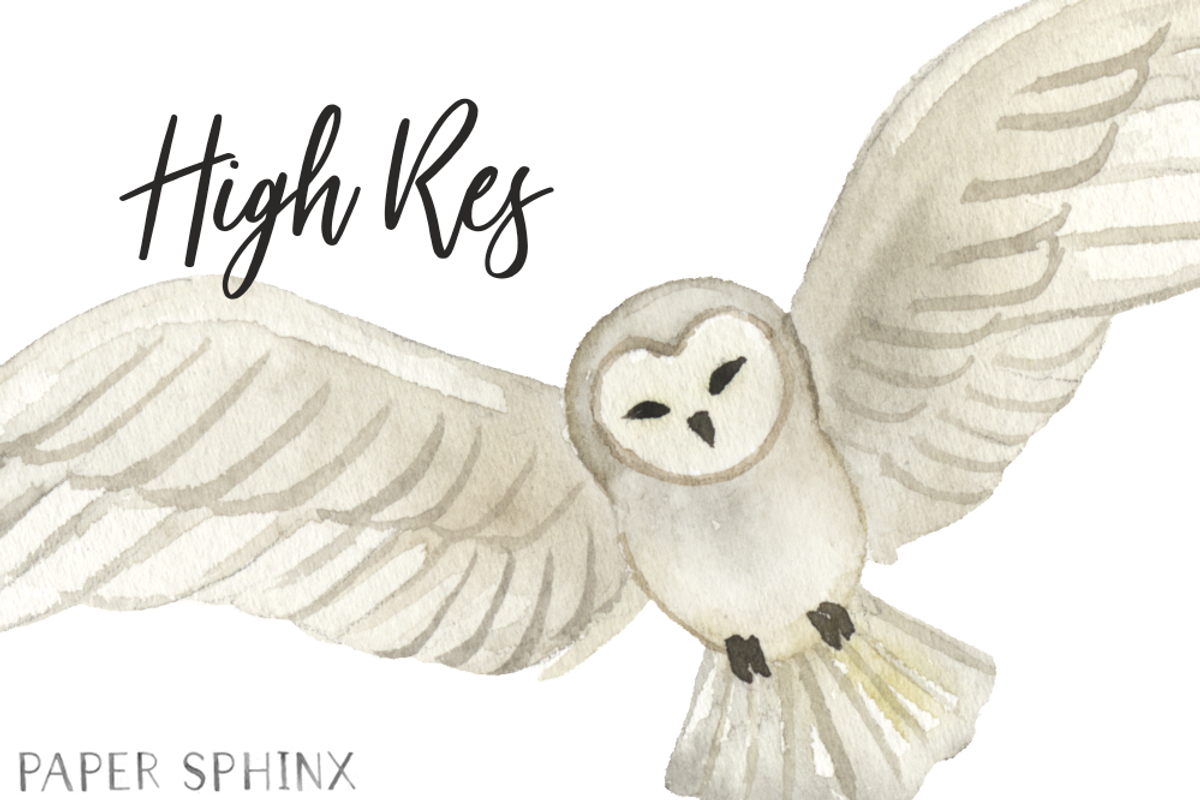 Magic School Clipart Pack, an Education Illustration by PaperSphinx ...