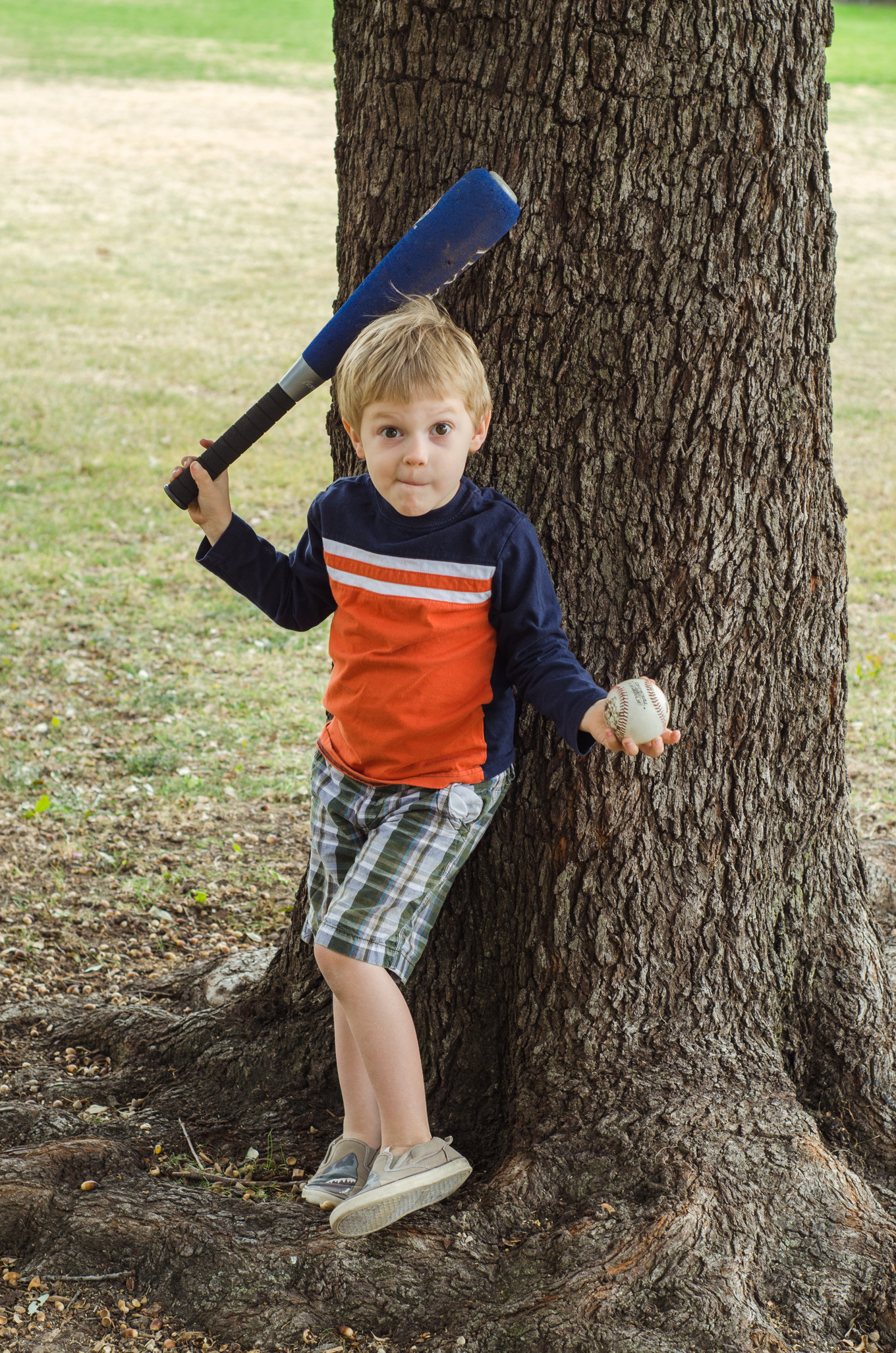 Boy with Bat and Ball Making a Face, a Person Photo by Catchline ...