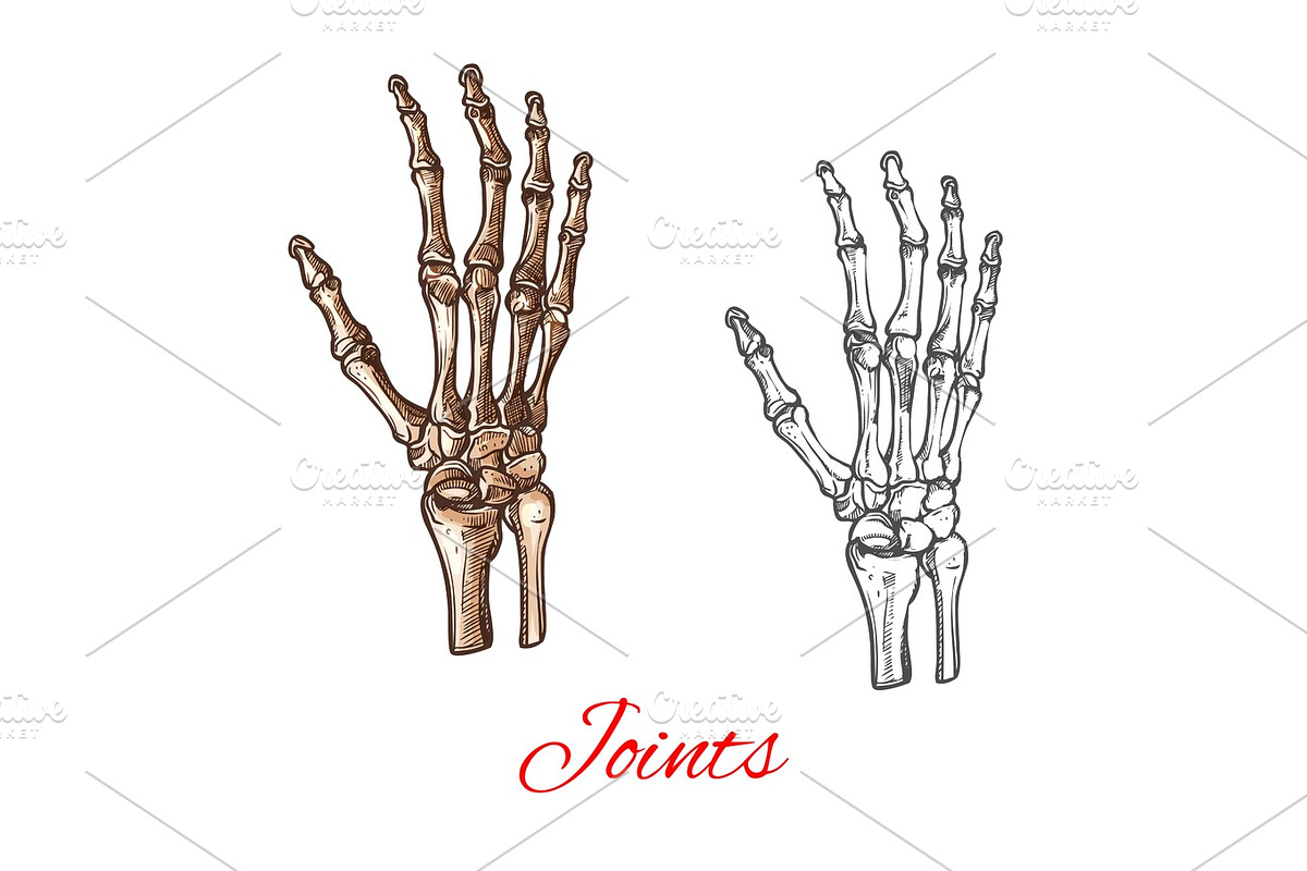 Vector sketch icon of human hand bones or joints, a Healthcare ...
