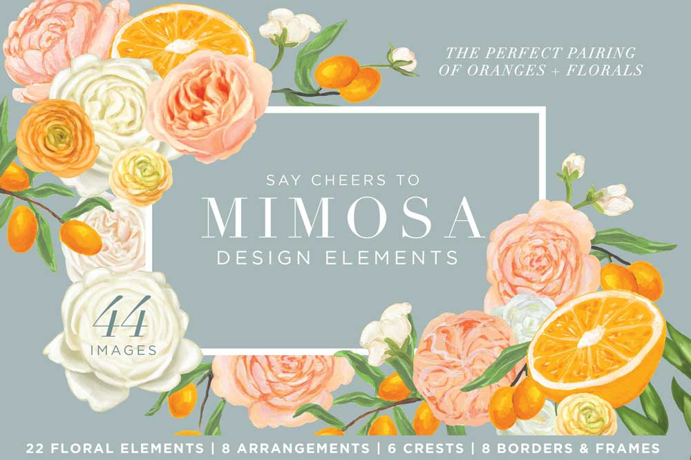 Mimosa Design Set | Oranges + Floral, an Illustration by Relish Designs