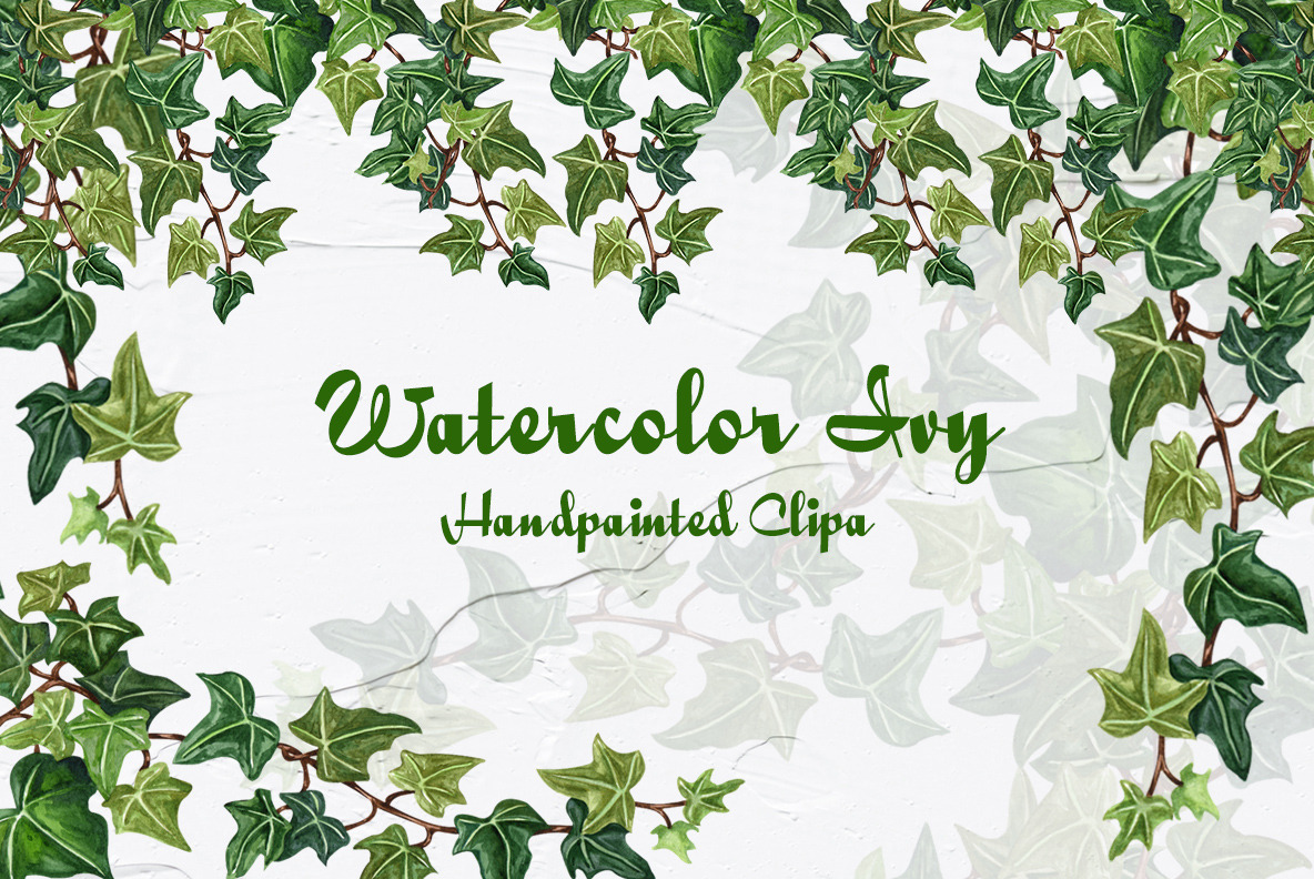 Ivy Watercolor Set, an Illustration by BarvArt