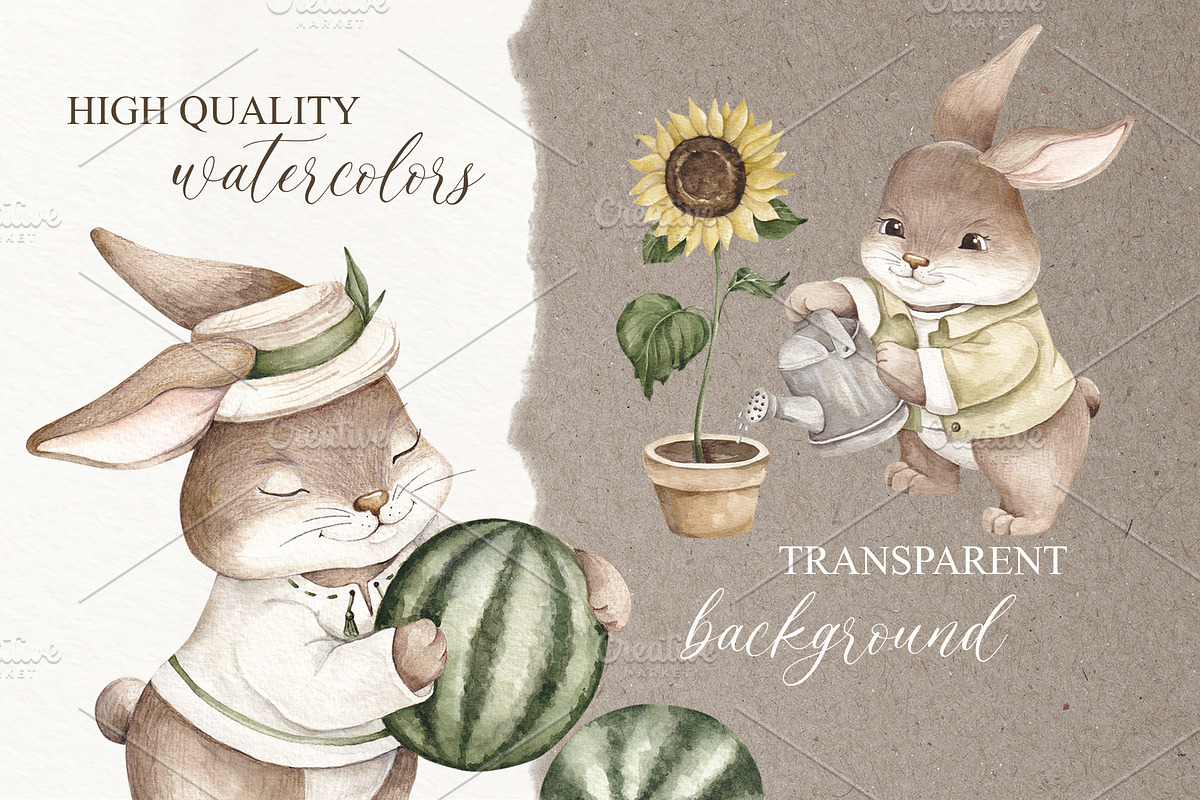 Cute Bunny Watercolor Clipart, an Animal Illustration by MolinArtStudio
