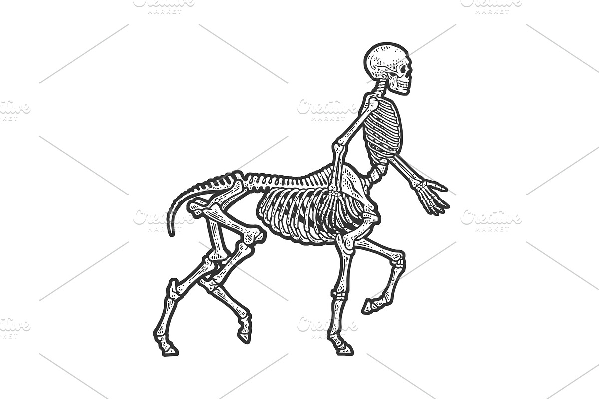 Centaur skeleton sketch vector, an Animal Illustration by AlexArt