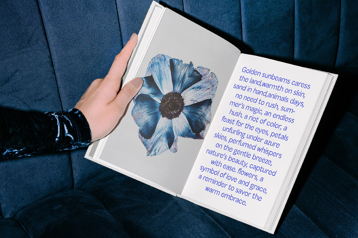 Serious Sans - Modern Typeface, a Sans Serif Font by Tropical Type