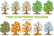 Apple-tree in different seasons, a Decorative Illustration by Nataliia ...