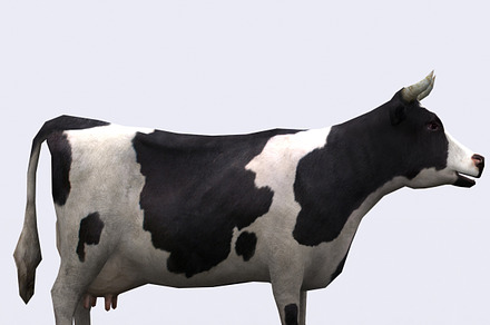 3DRT - Safari animals -Zebra, an Animal 3D Model by 3DRT.com