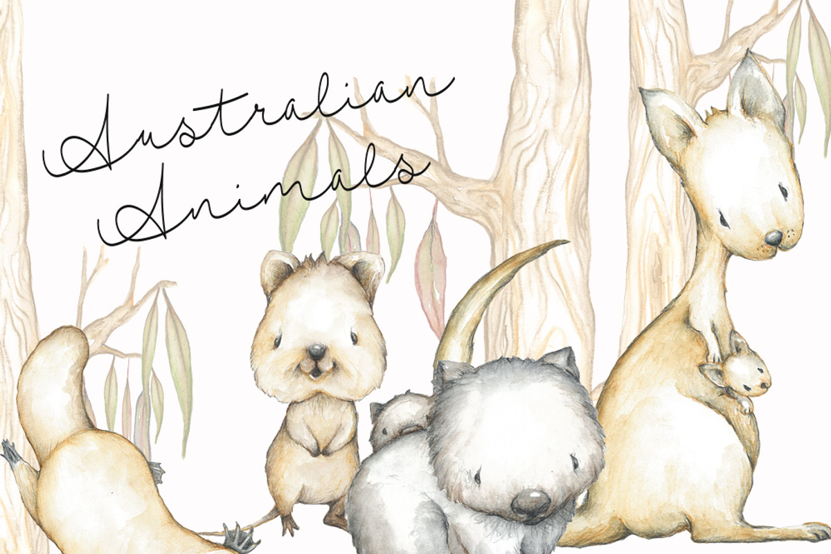 Australian animals clip art, an Animal Illustration by Monique Digital Art