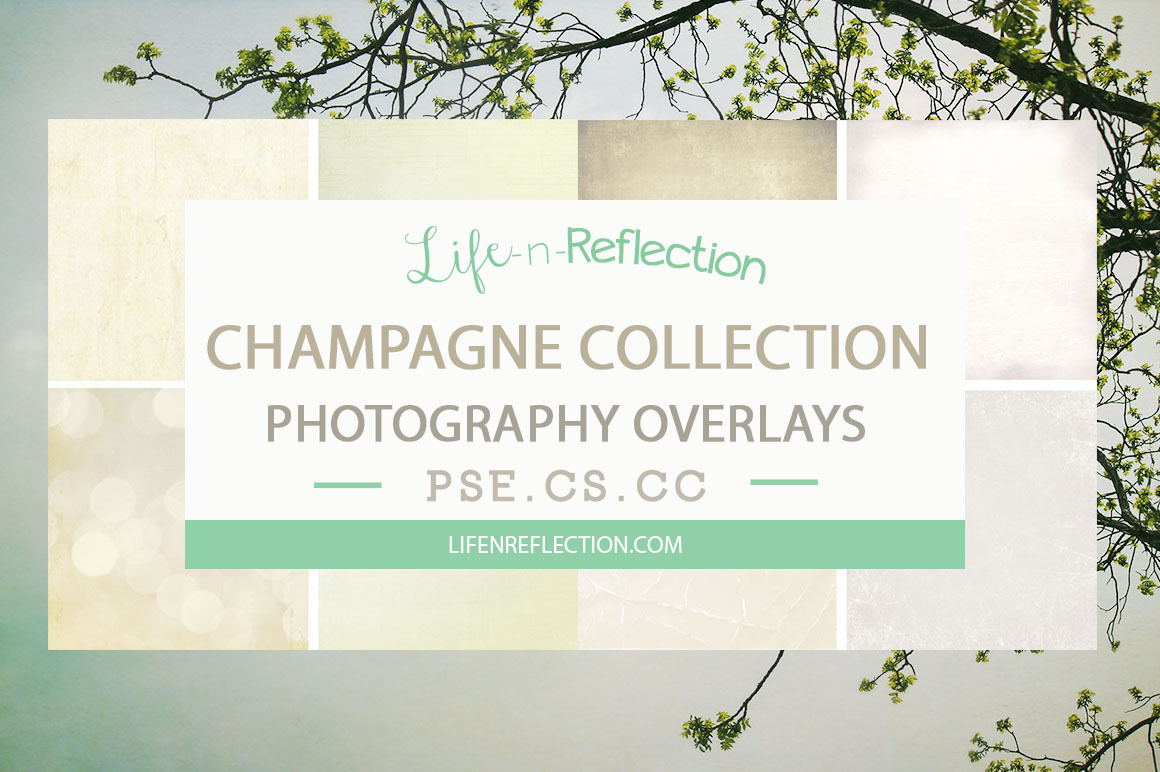 Champagne Overlay Collection Bundle, a Texture Graphic by lifenreflection