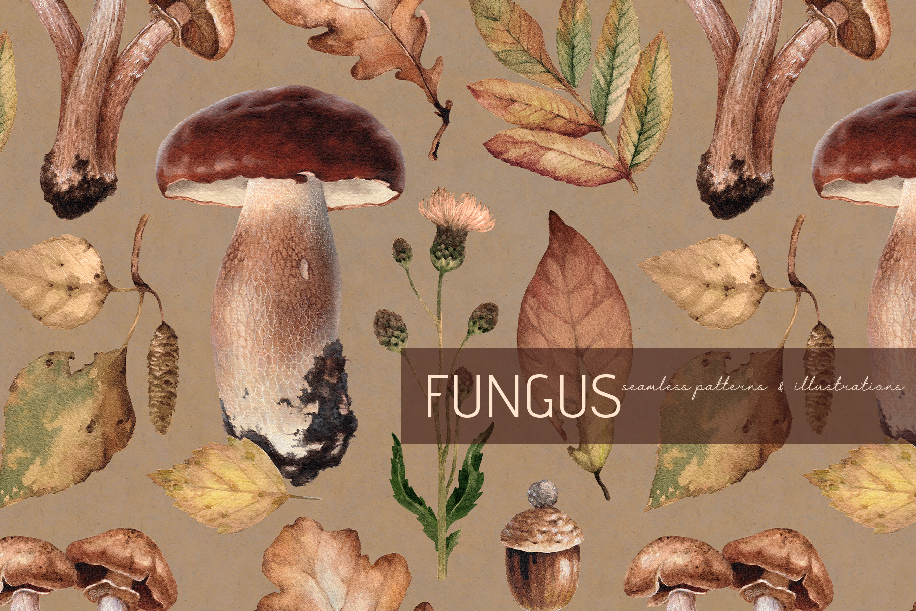 Fungus, a Pattern Graphic by Sundra