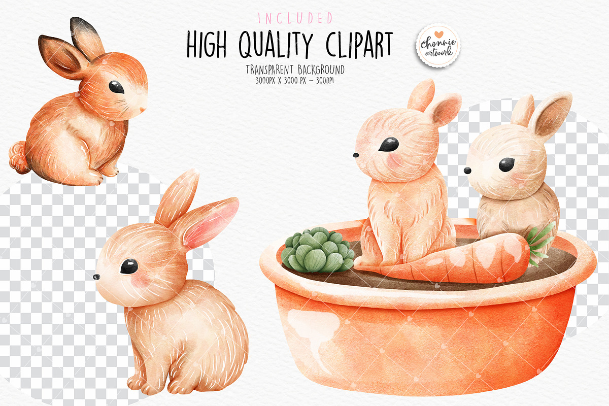 Carrot clipart, Easter clipart, a Food Illustration by Chonnieartwork