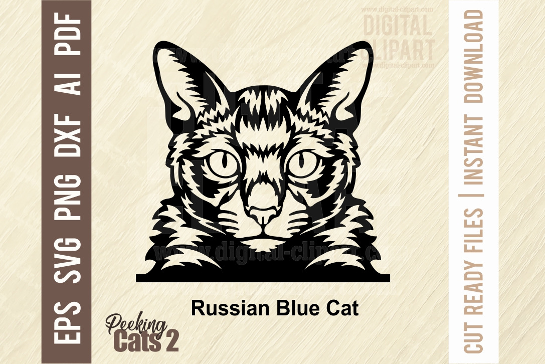 Russian Blue Cat Svg, Cats Svg, an Illustration by Digital-Clipart ...