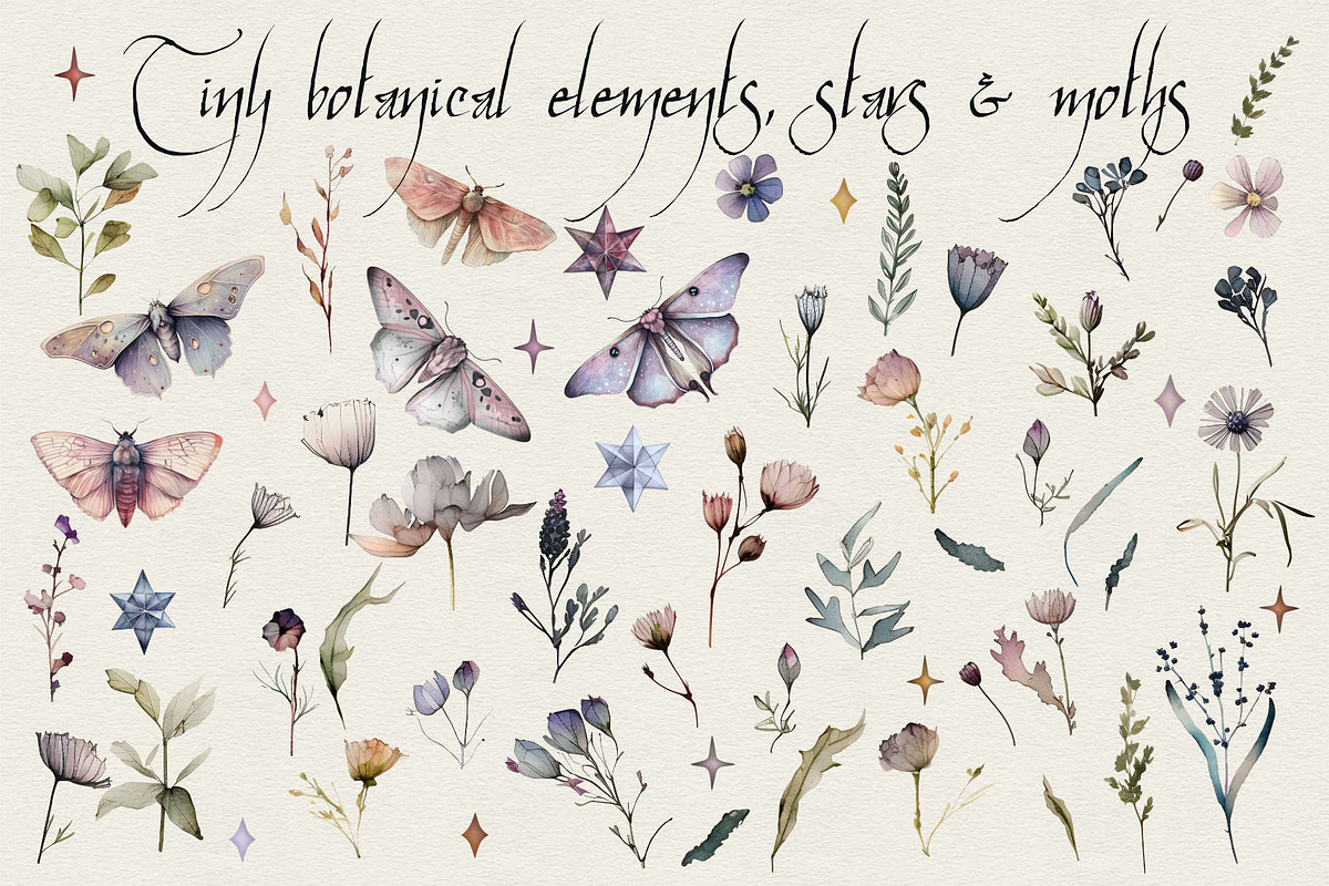 Magic botanical collection, a Decorative Illustration by marie dricot