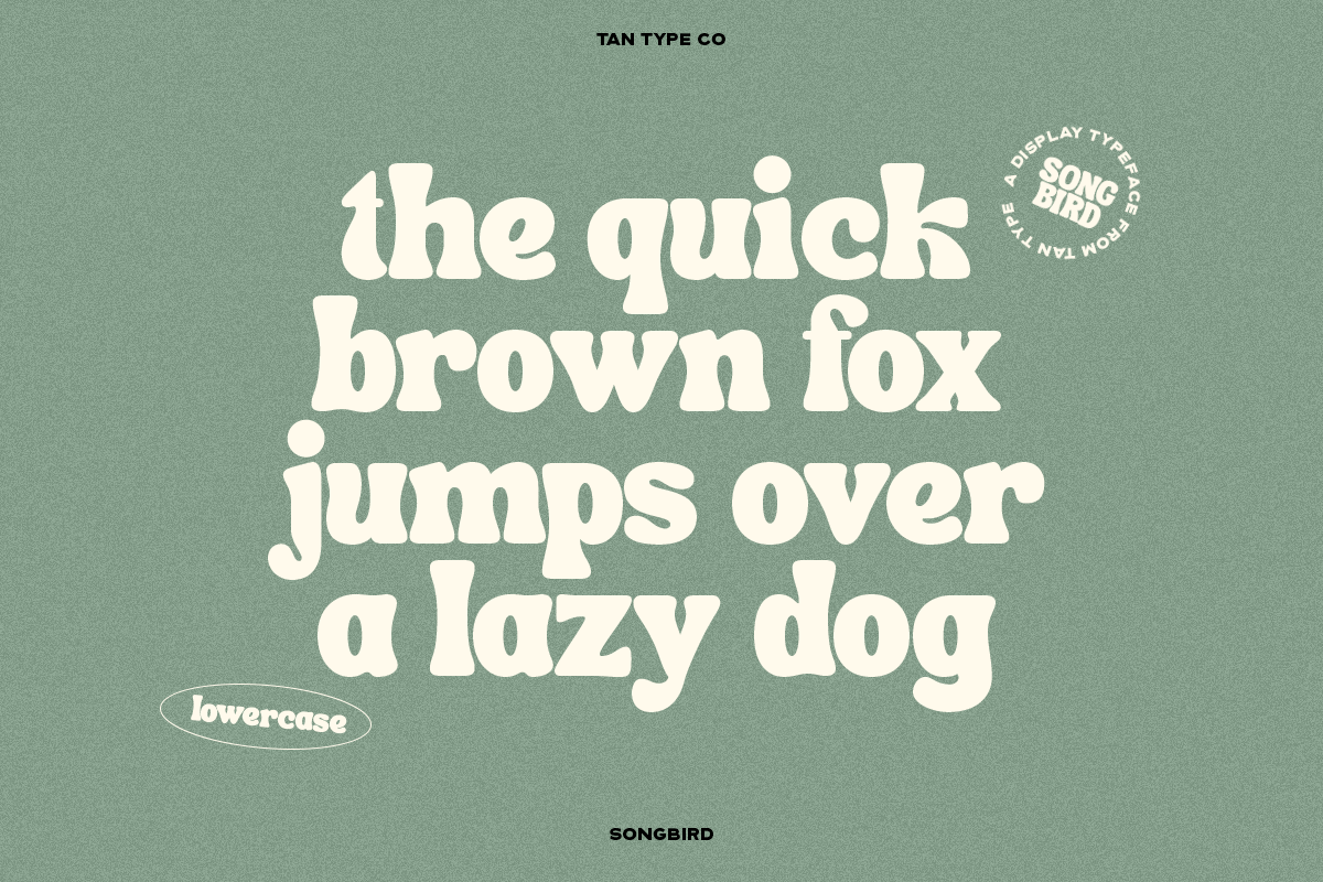 TAN - SONGBIRD, a Font by TanType