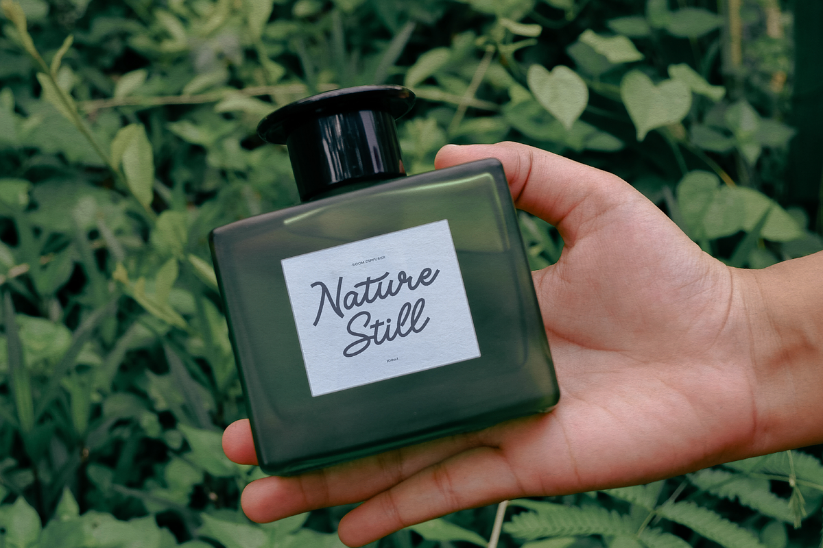 Averty Meadow | Monoline Script, a Script Font by gracetype_studio