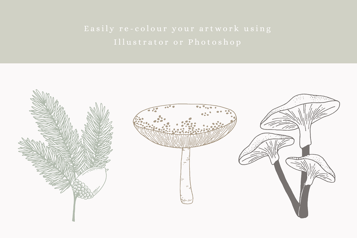 Woodland Walk Vectors, an Illustration by Emma Webb Studio