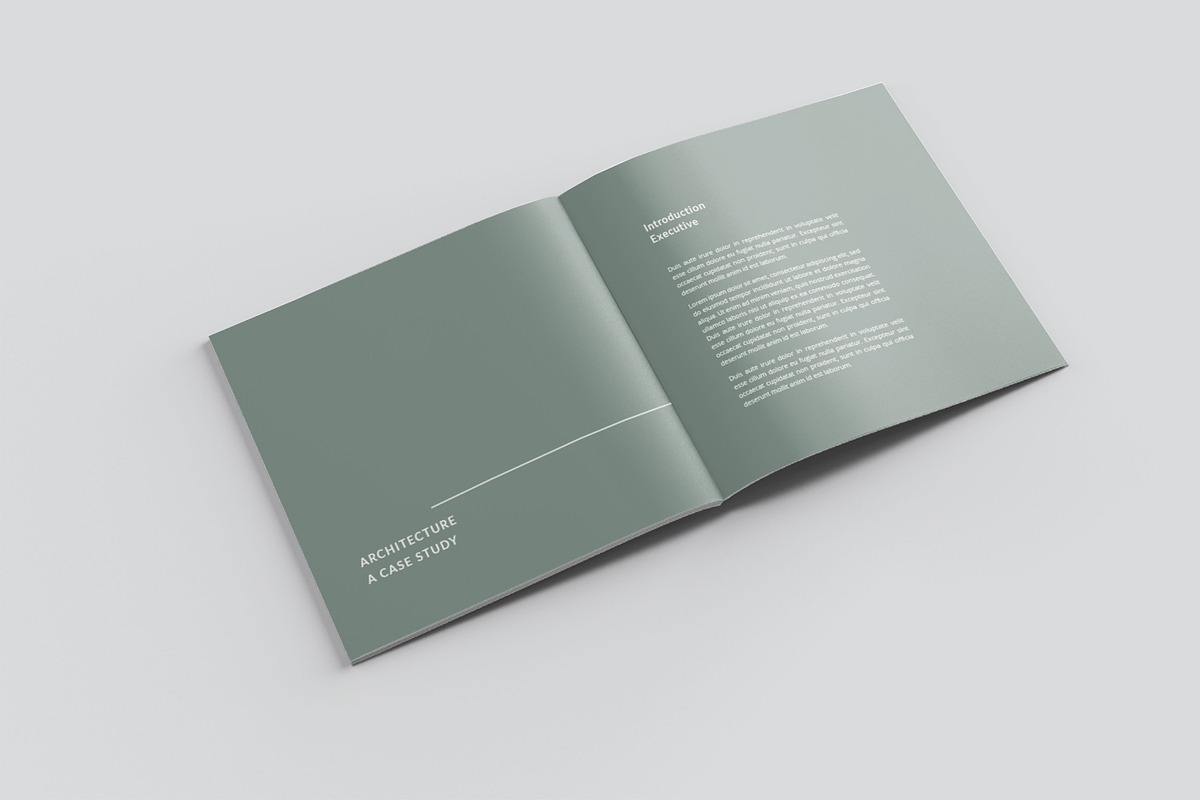 Case Study, a Magazine Template by AQR Studio