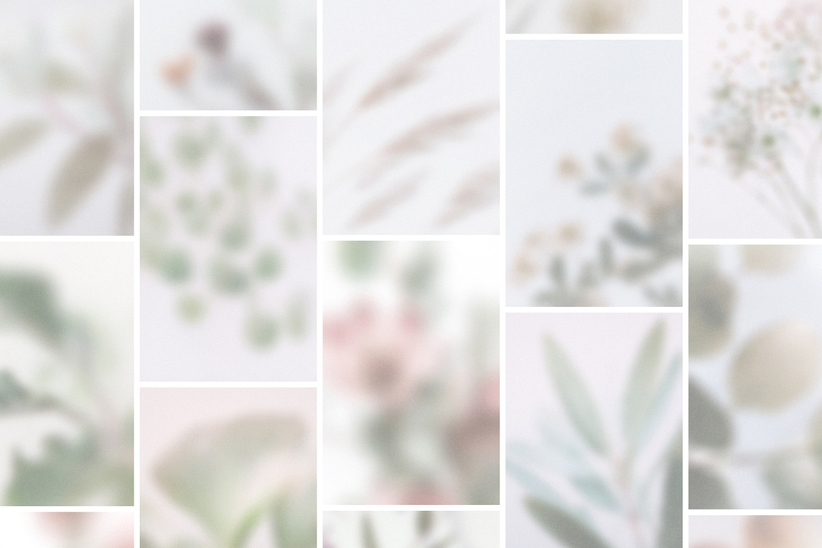 Veiled in Vellum Blurry Backgrounds