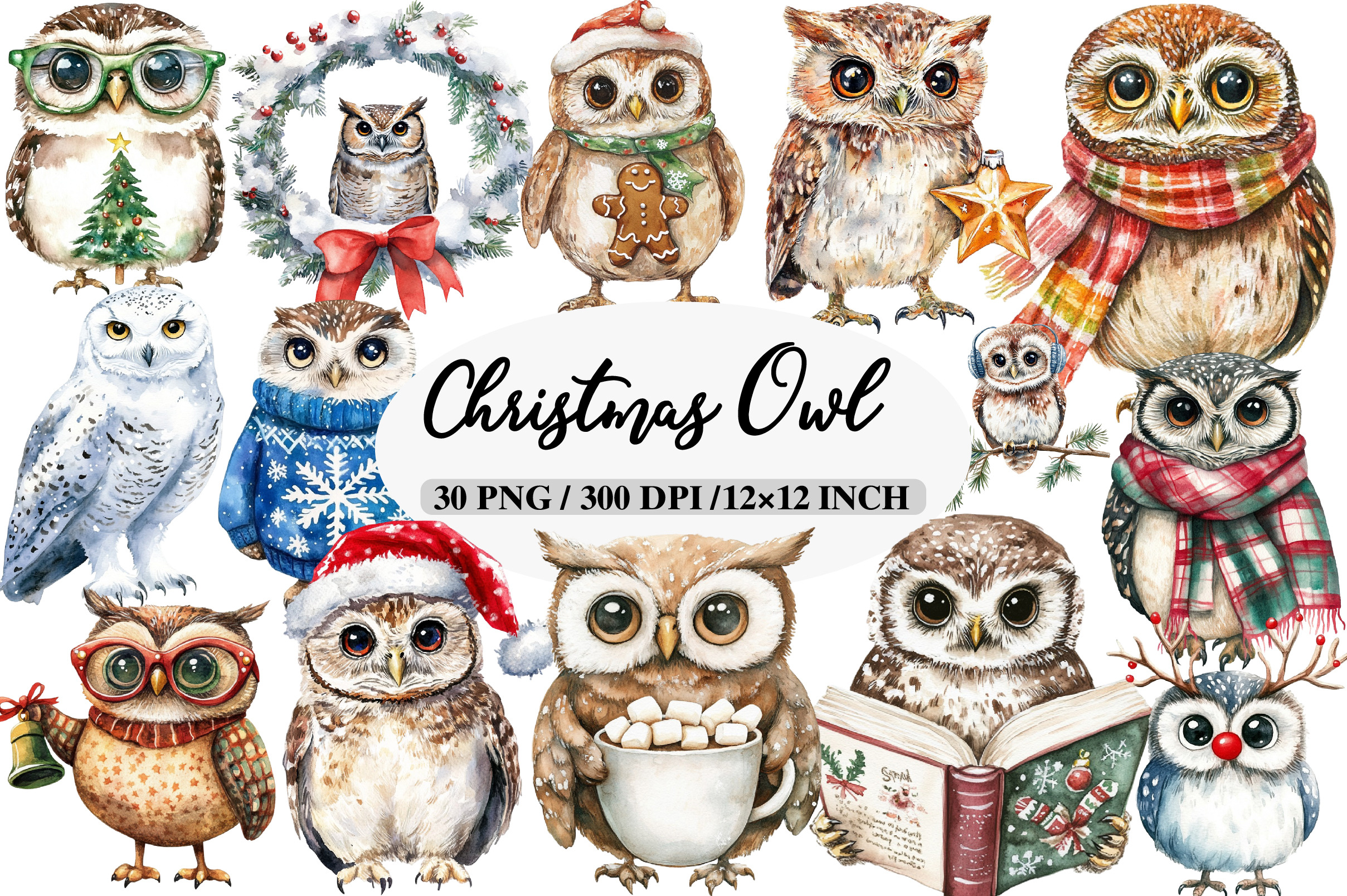 Christmas Owl Sublimation Clipart, a Seasonal Illustration by Daily.Designs