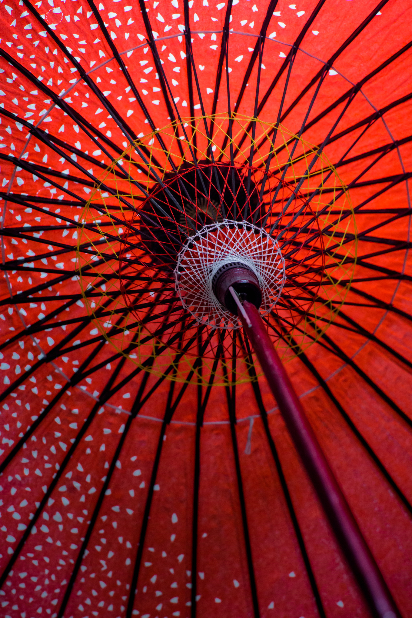 Wagasa japanese paper umbrella featuring umbrella, paper umbrella, and ...