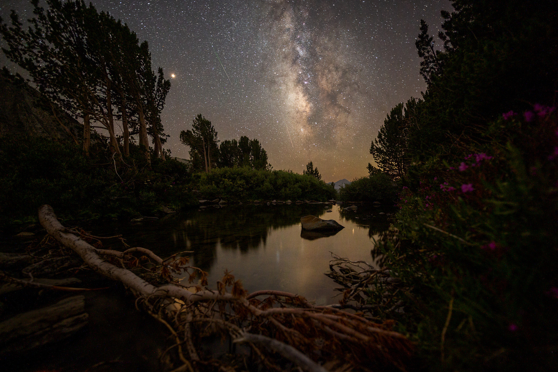 Straight out of fairy tale, a Nature Photo by Excursion Principle ...