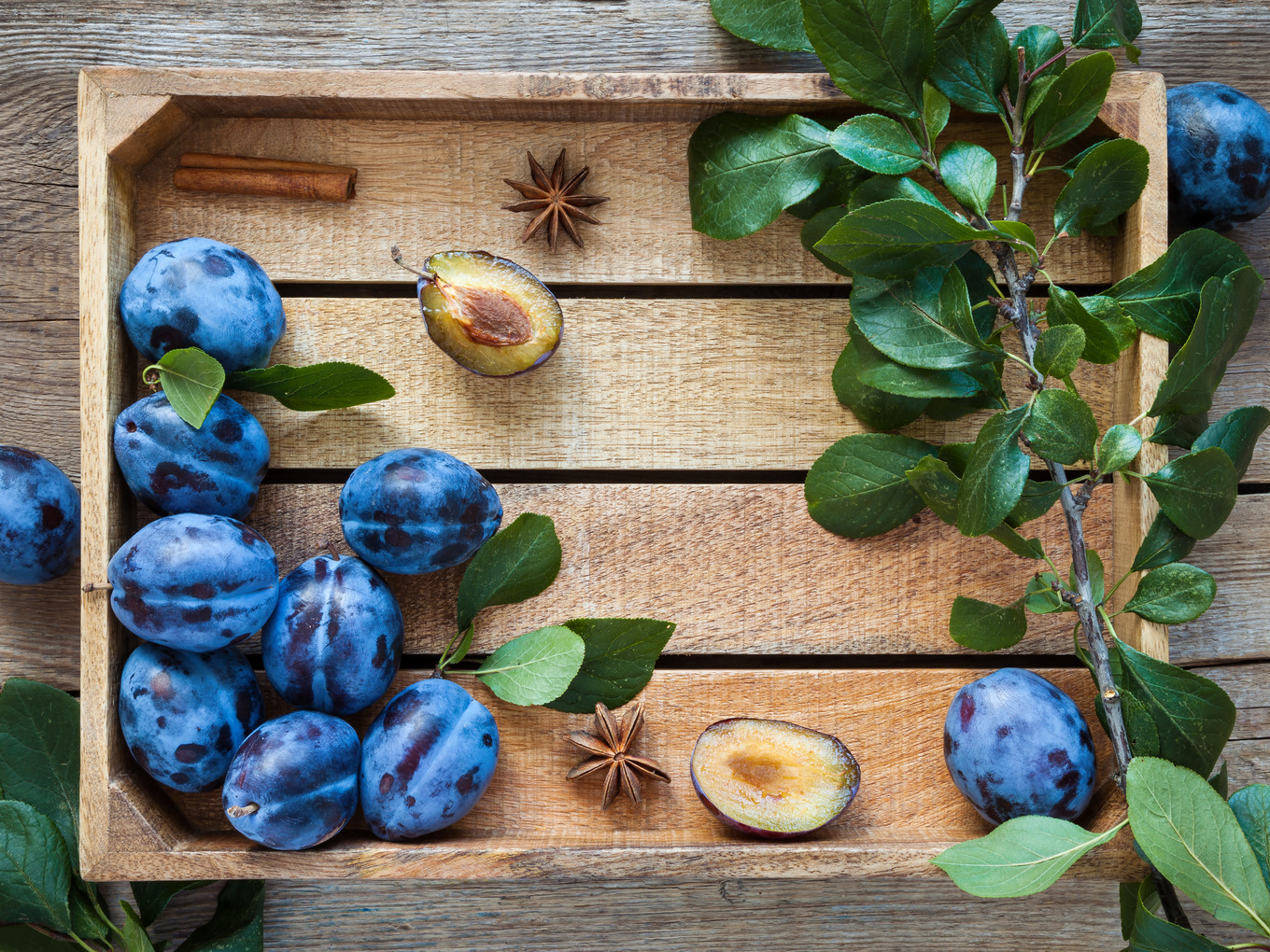 Fresh plums in wooden box., a Food & Drink Photo by chamillewhite