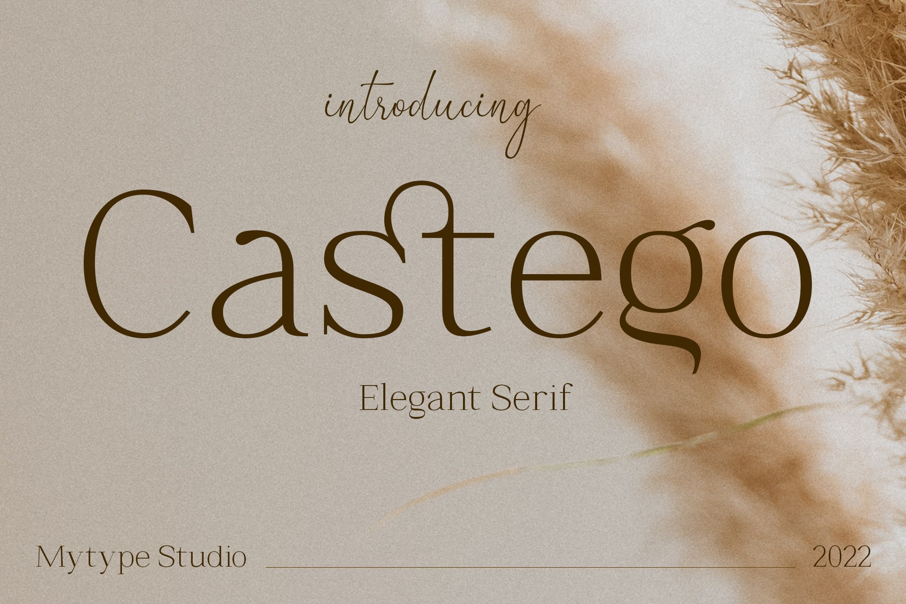 Castego - Elegant Serif, a Serif Font by Mytype Studio