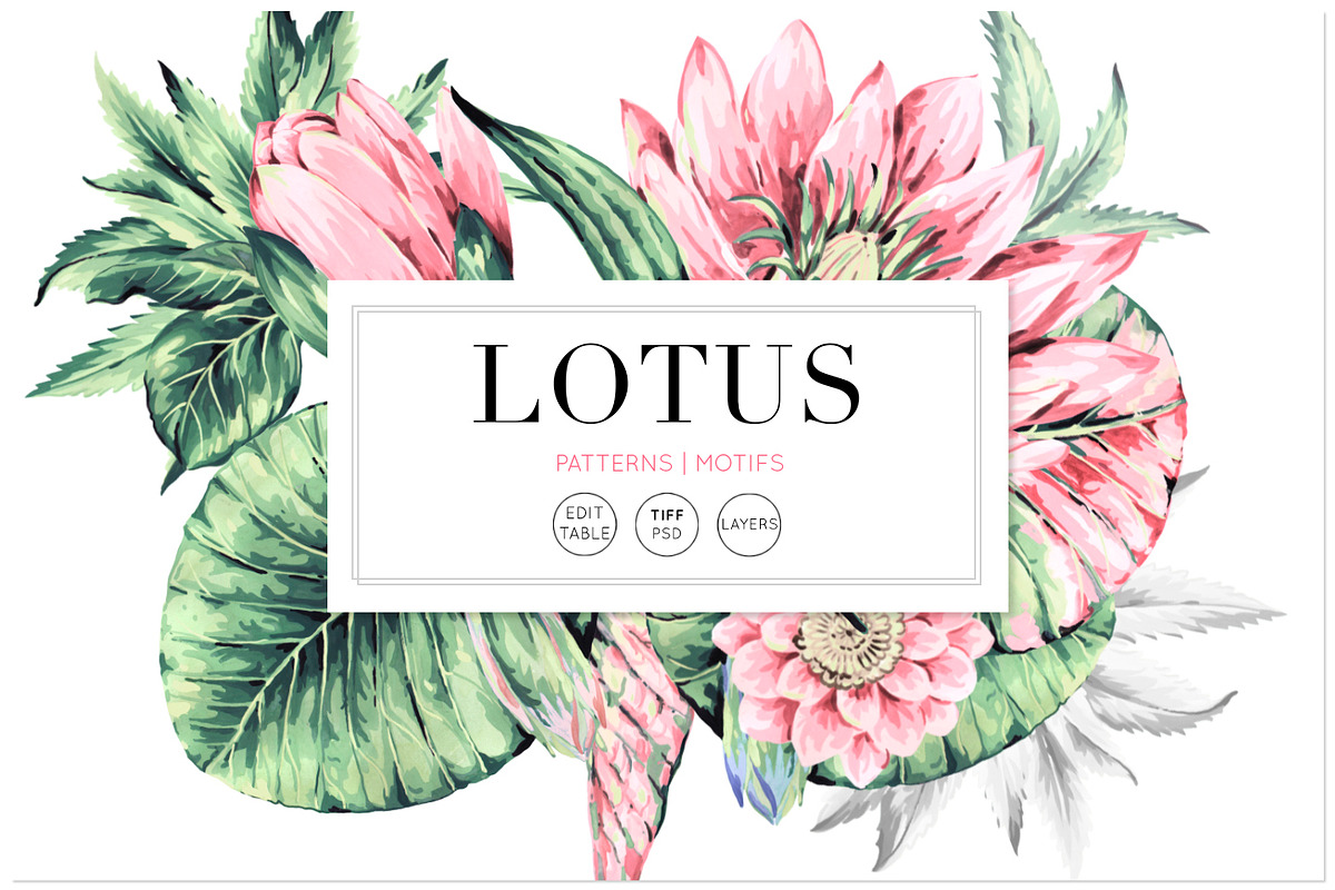 Lotus, Hand-Painted Pattern Set!, a Pattern Graphic by TSTUDIO