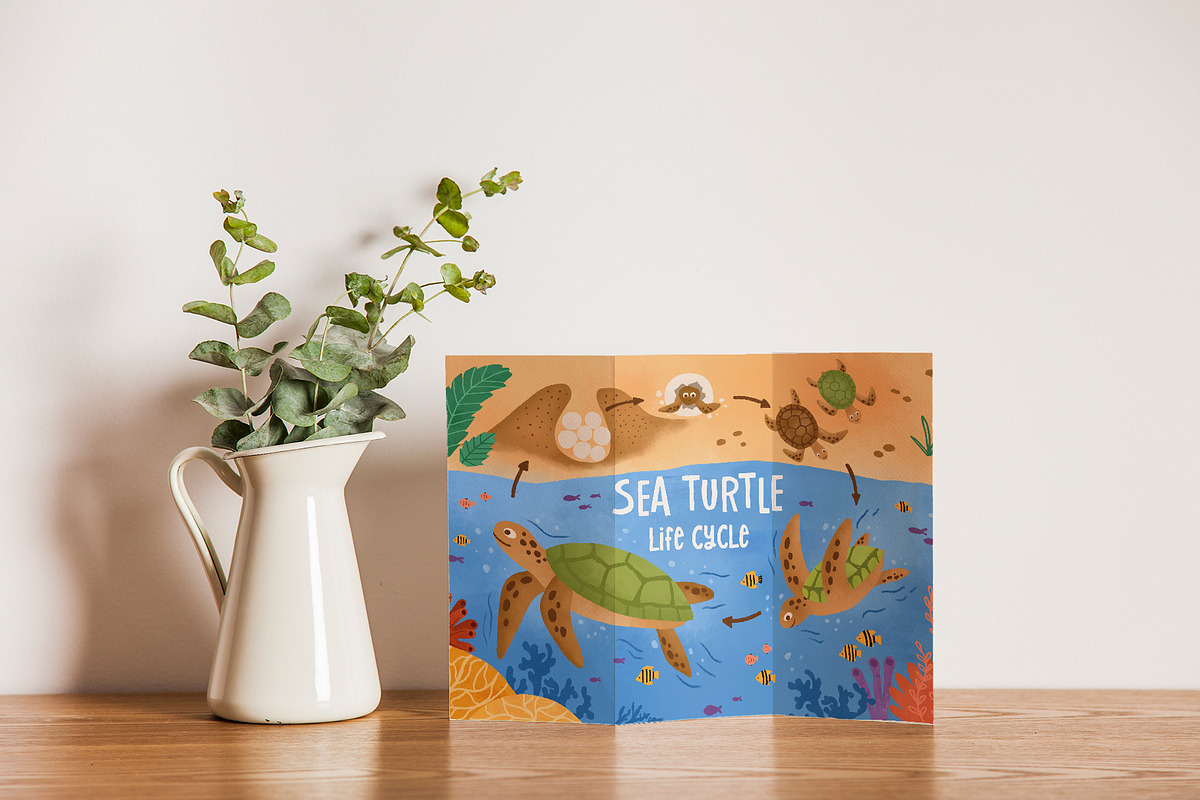 Sea turtle life cycle. Biology poster
