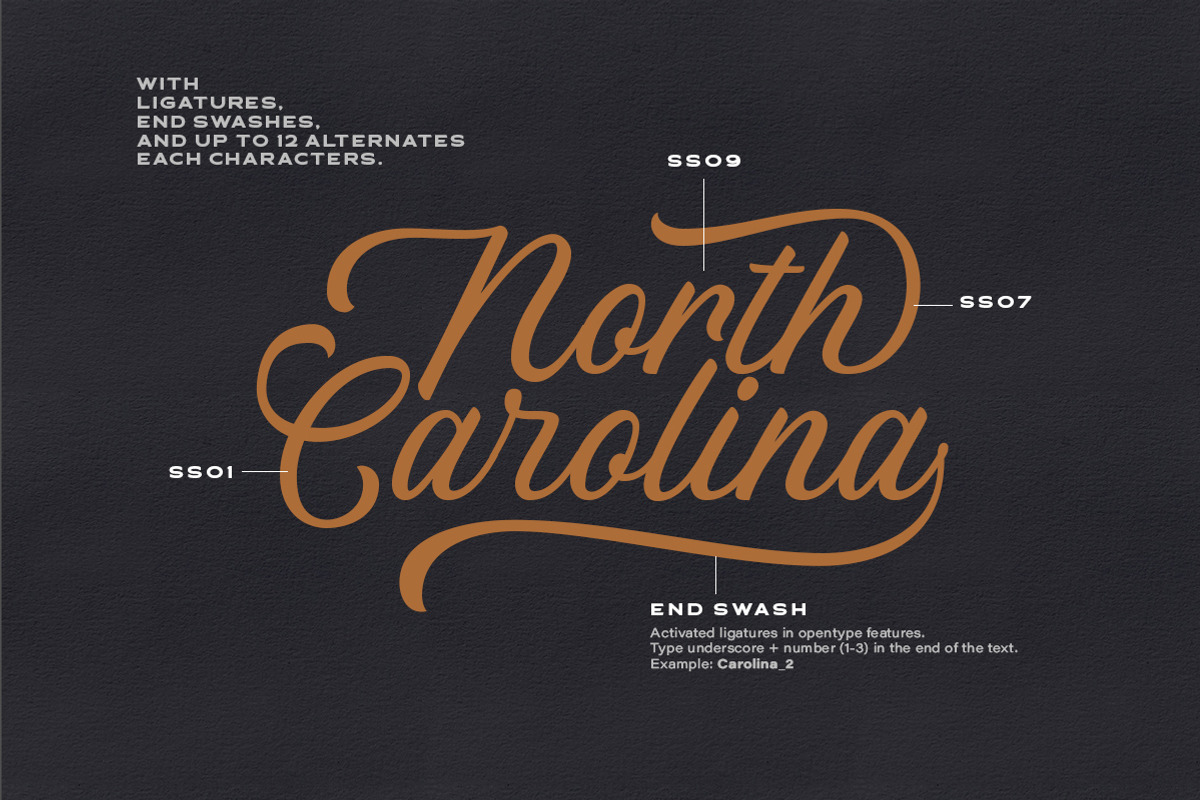 Linkgray Script, a Script Font by Letterhend Studio