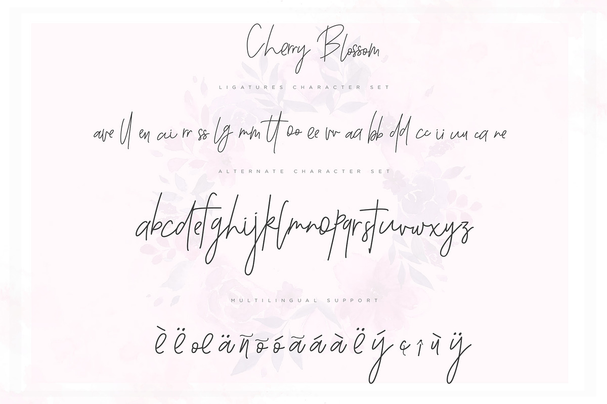 Cherry Blossom | 90% OFF, a Script Font by Chocotype Std