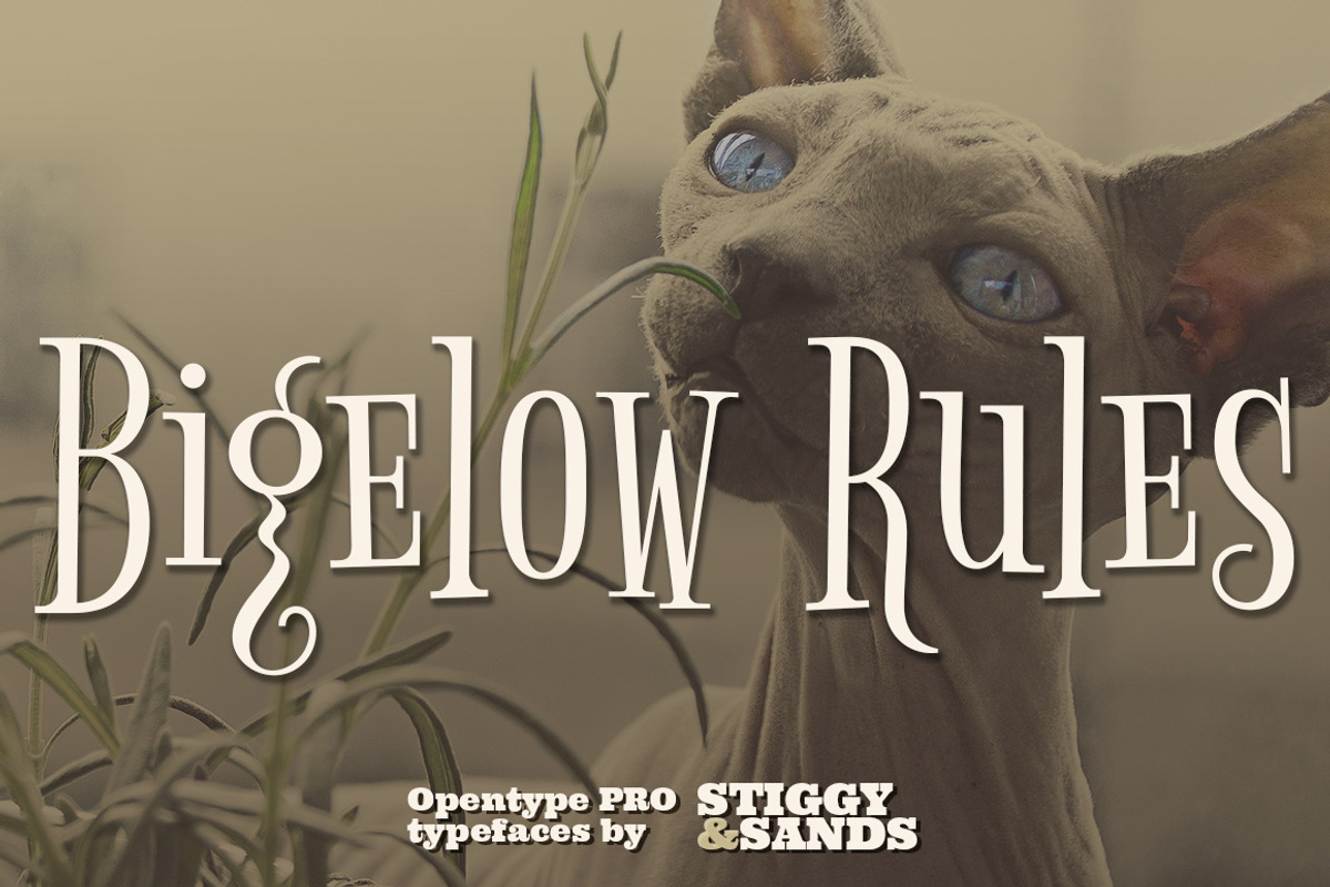 Bigelow Rules Pro, a Serif Font by Stiggy & Sands