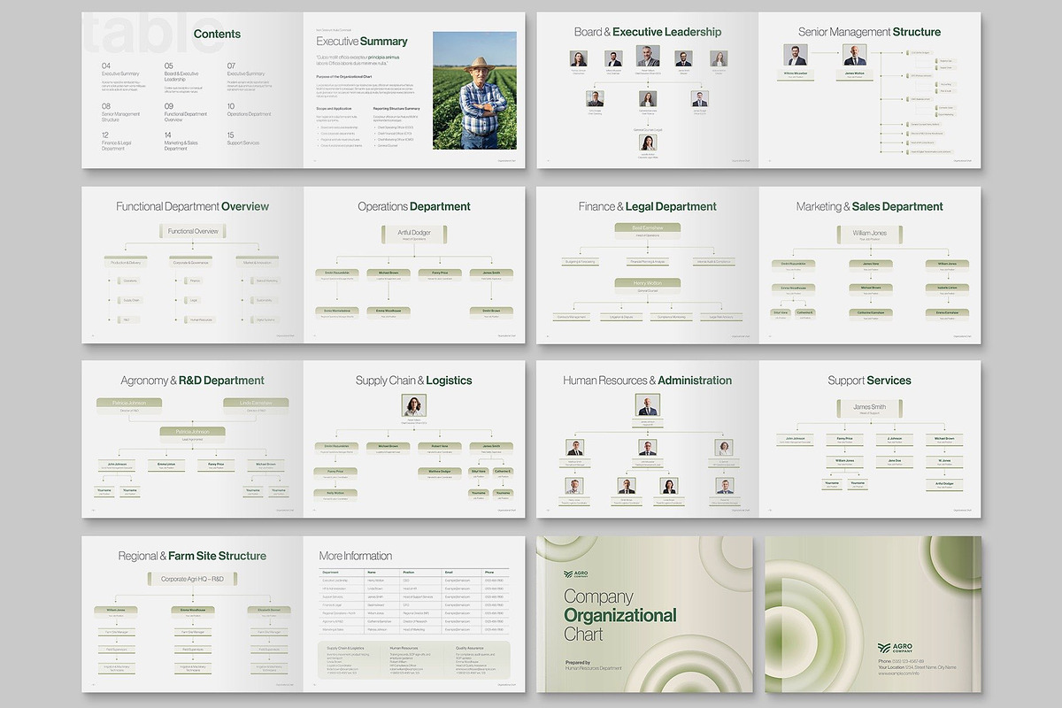 Organizational Chart Template, a Brochure Template by BrandPacks