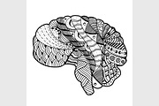 Human Brain doodle | Background Graphics ~ Creative Market
