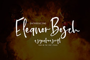 Eleanor Bosch, a Script Font by OnTheSpotStudio