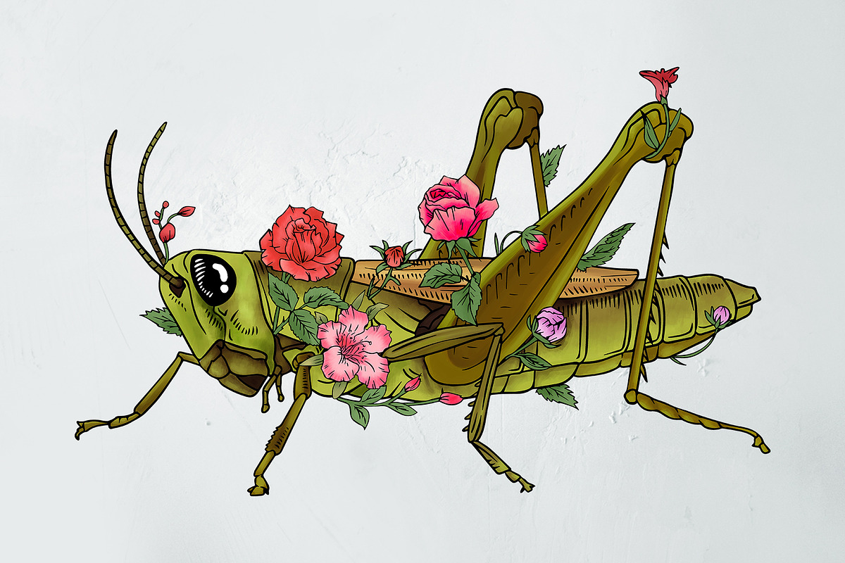 Grasshopper modern illustration, an Illustration by Infinity Creativity