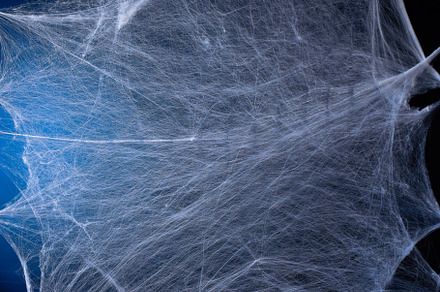 Black Cobweb Texture, Dark Web Hallo, an Abstract Photo by Julie208